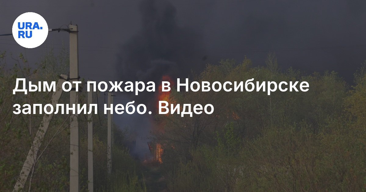 В Новосибирске на территории Института прикладной физики загорелся ...